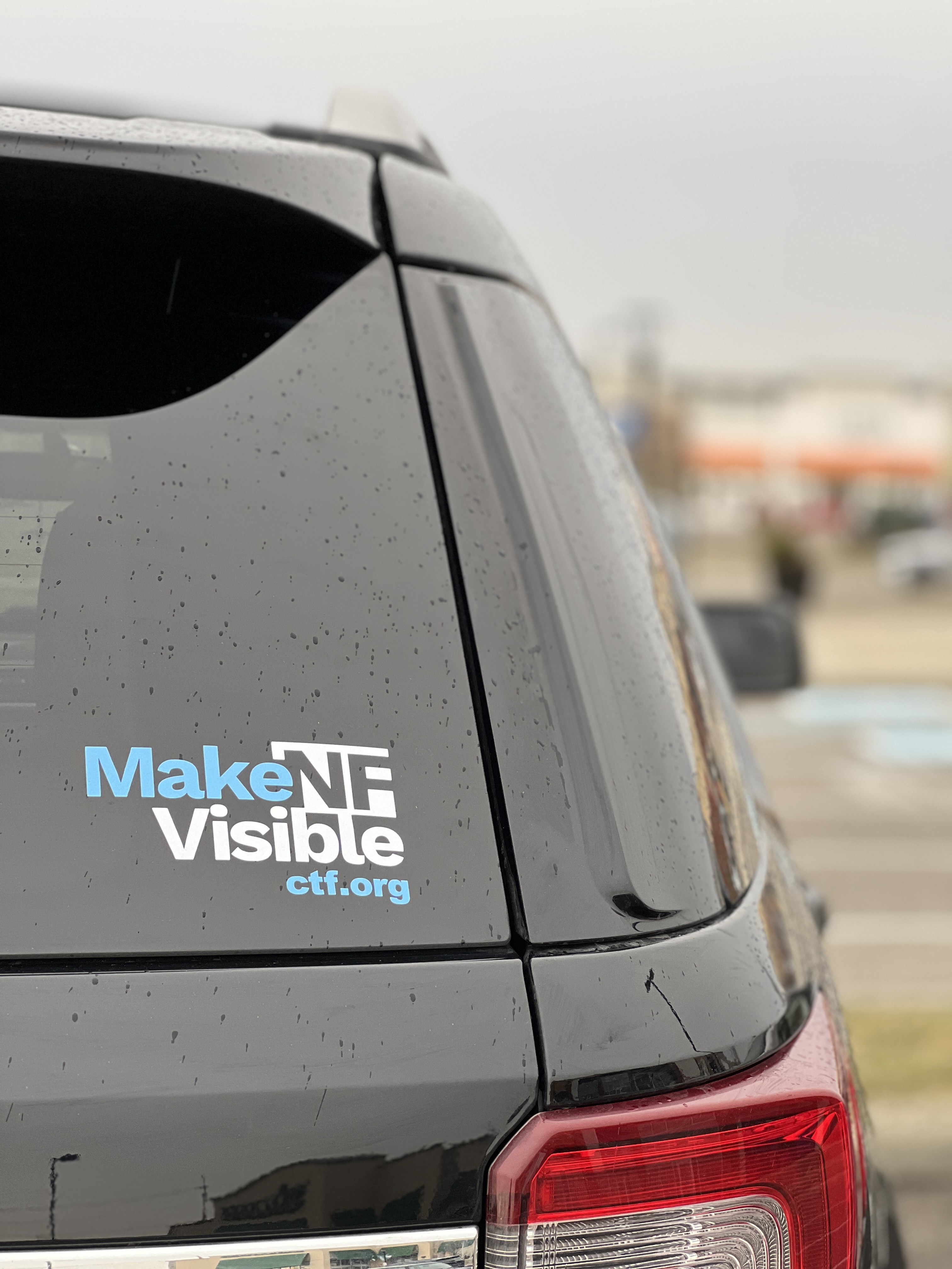 Make NF Visible Vinyl Decal